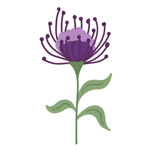 Purple Spiny Flower Print And Cut File Craftsmithco