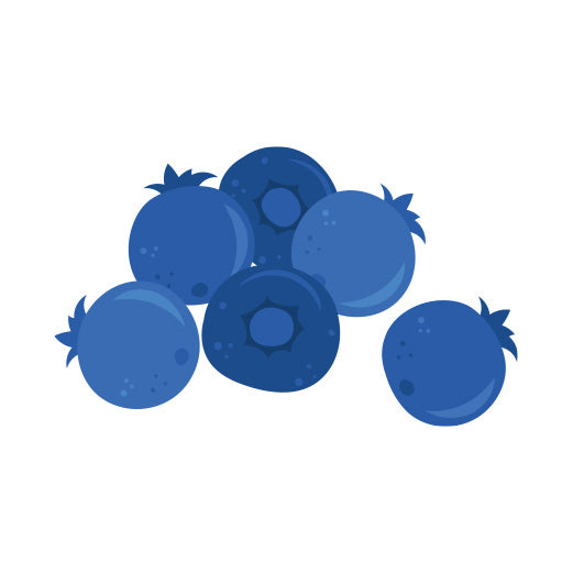 Blueberries | Print & Cut File – CraftSmithco