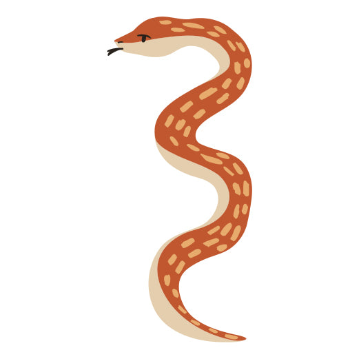 Snake | Print & Cut File – CraftSmithco